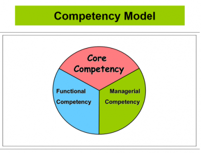 Krittin • การกำหนด Competency Model